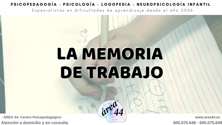 Memoria operativa archivos -ÁREA 44- Centro Psicopedagógico