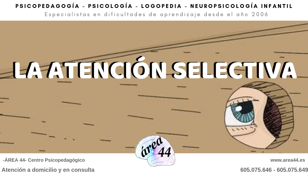 Atención selectiva -ÁREA 44- Centro Psicopedagógico