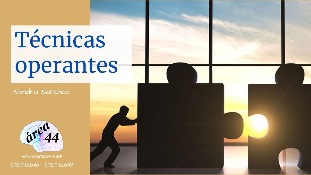 Técnicas operantes I Área 44 Servicios Educativos
